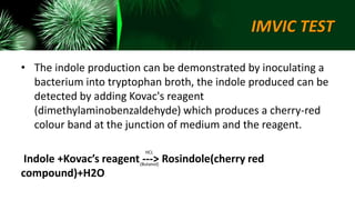 biochemical test for identification of bacteria.pptx