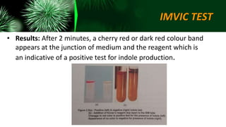 biochemical test for identification of bacteria.pptx