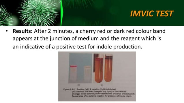 biochemical test for identification of bacteria.pptx