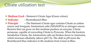 Biochemical test (im vi c) | PPTX