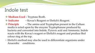 Biochemical test (im vi c) | PPTX