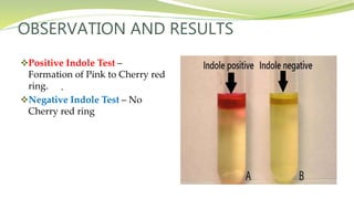 Biochemical test (im vi c) | PPTX