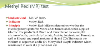 Biochemical test (im vi c) | PPTX