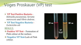Biochemical test (im vi c) | PPTX