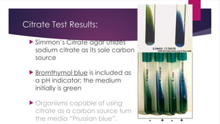 Biochemical Tests for Microbial Identification | PPT