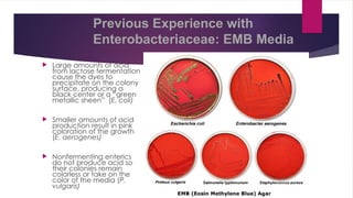 Biochemical Tests for Microbial Identification | PPT