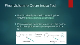 Biochemical Tests for Microbial Identification 2 | PPT