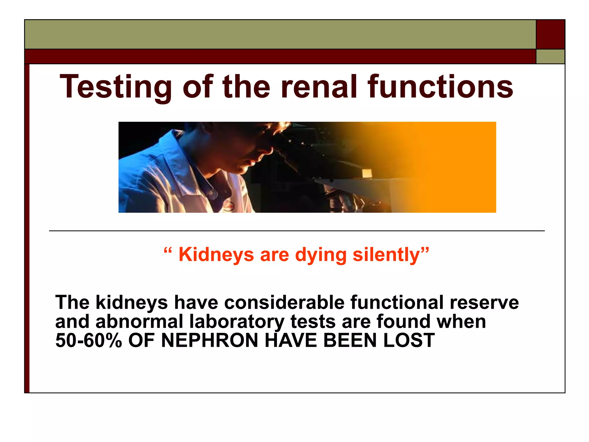 Biochemical testing of renal function (1).pdf