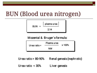 Biochemical testing of renal function (1).pdf