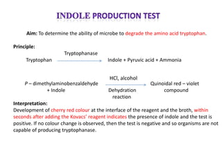 Biochemical test of bacteria | PPTX