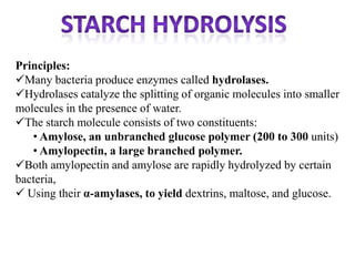 Lipid Hydrolysis Test