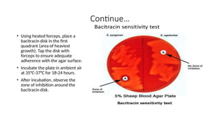 Biochemical test of bacteria. Informatio | PPT