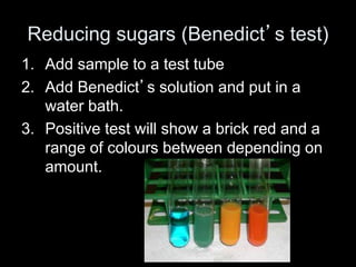 Biochemical tests | PPTX
