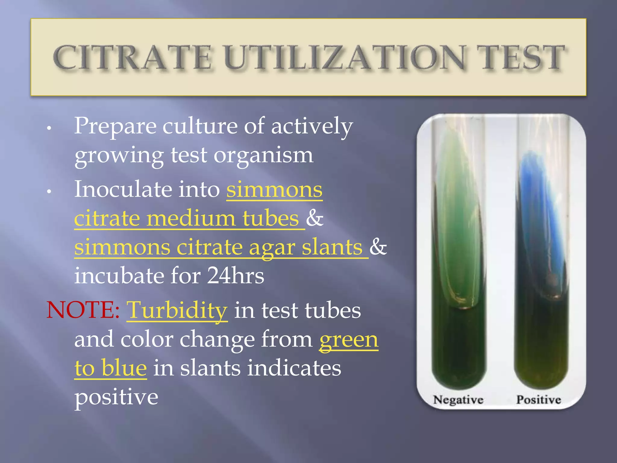 Biochemical tests | PPT