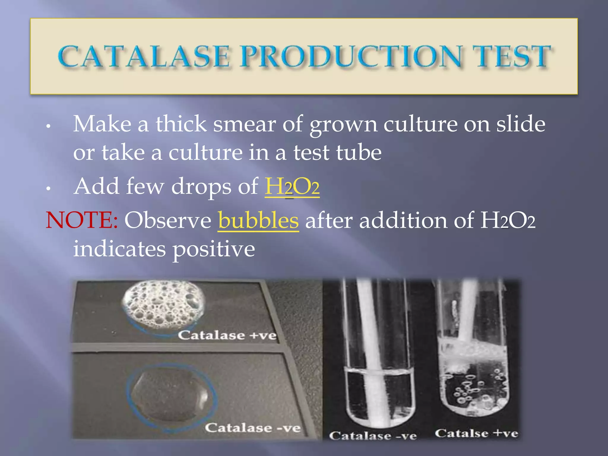Biochemical tests | PPT