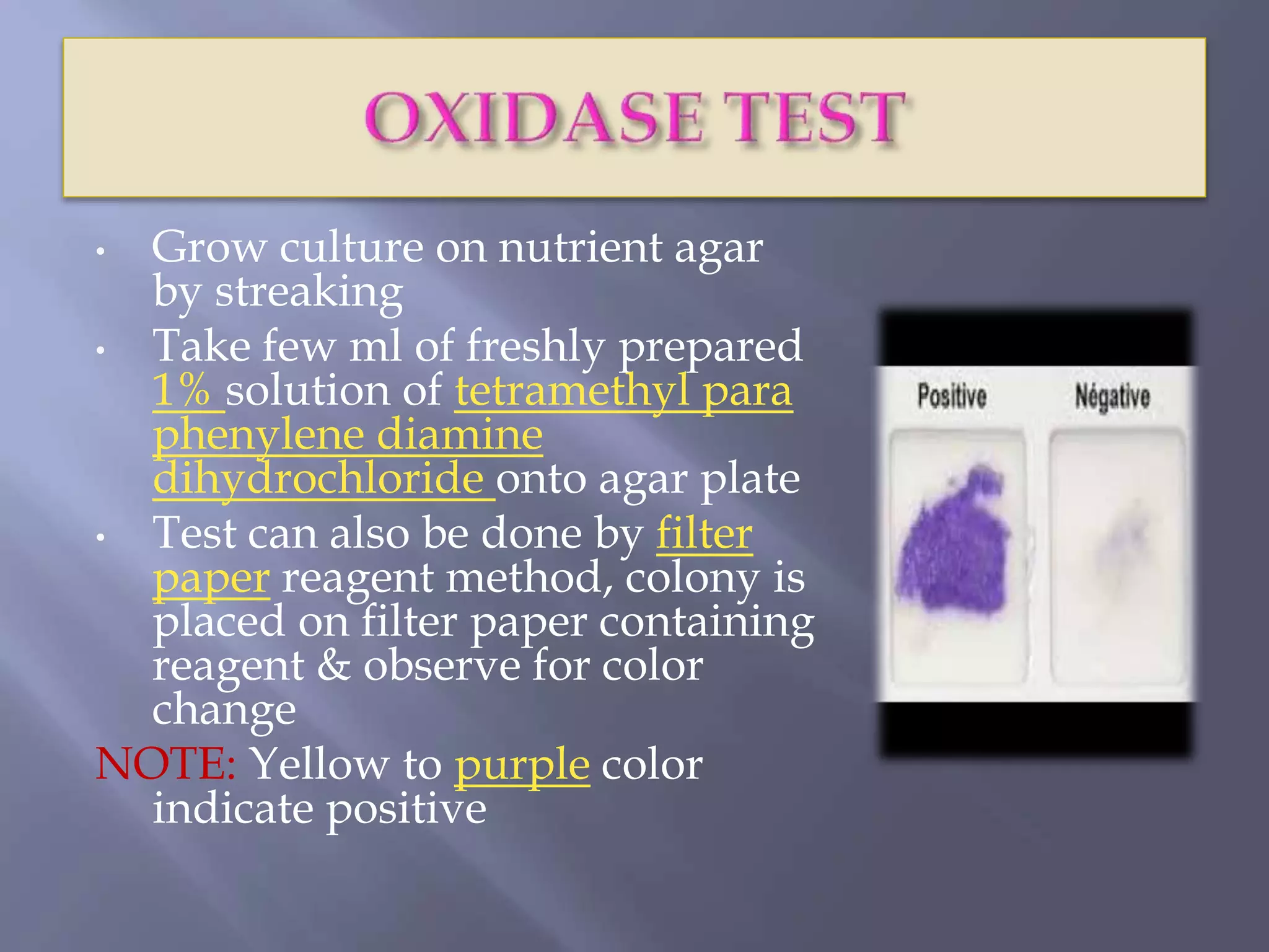 Biochemical tests | PPT