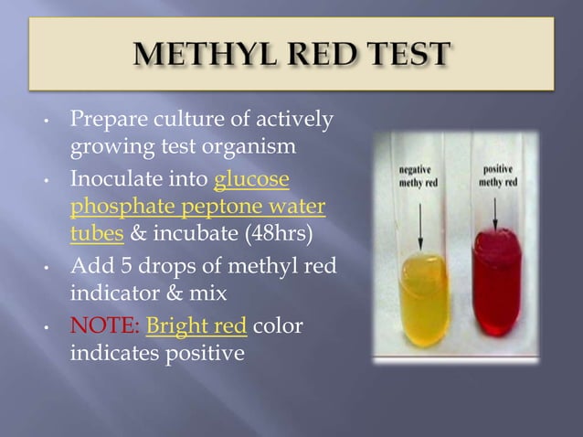 Biochemical tests | PPT