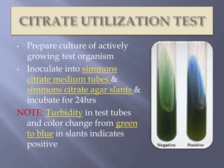 Biochemical tests | PPT