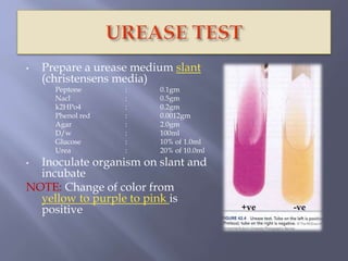 Biochemical tests | PPT