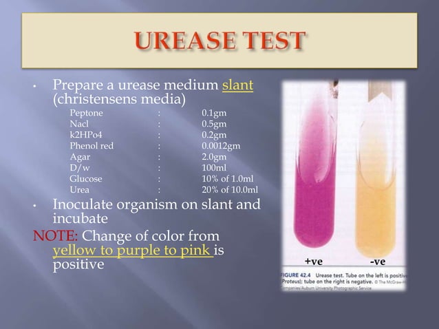 Biochemical tests | PPT