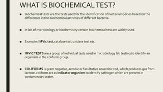 Indole production test | PPTX