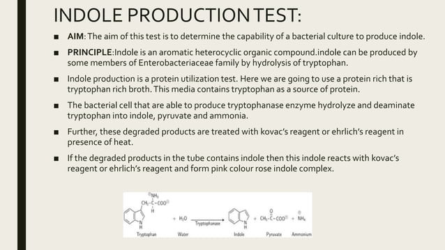 Indole production test | PPTX