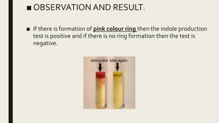 Indole production test | PPTX