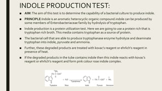Indole Production Test