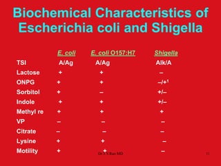 Biochemical tests.pptx