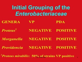 Biochemical tests.pptx
