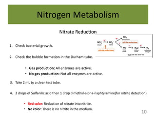 Biochemical tests 2nd week | PPT