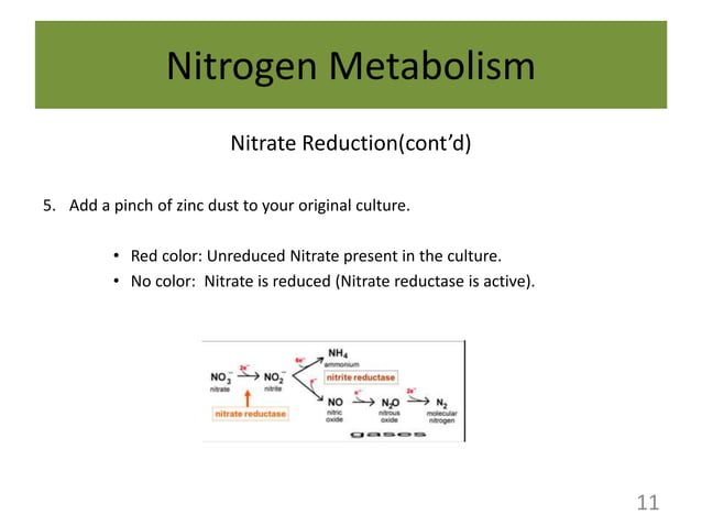 Biochemical tests 2nd week | PPT