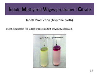 Biochemical tests 2nd week | PPT