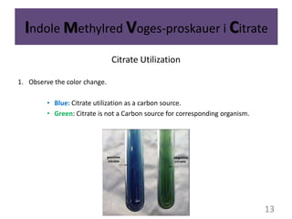 Biochemical tests 2nd week | PPT