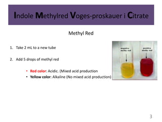 Biochemical tests 2nd week | PPT