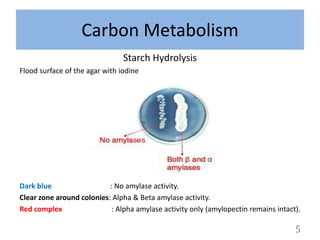 Biochemical tests 2nd week | PPT