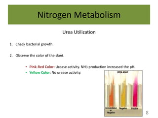 Biochemical tests 2nd week | PPT