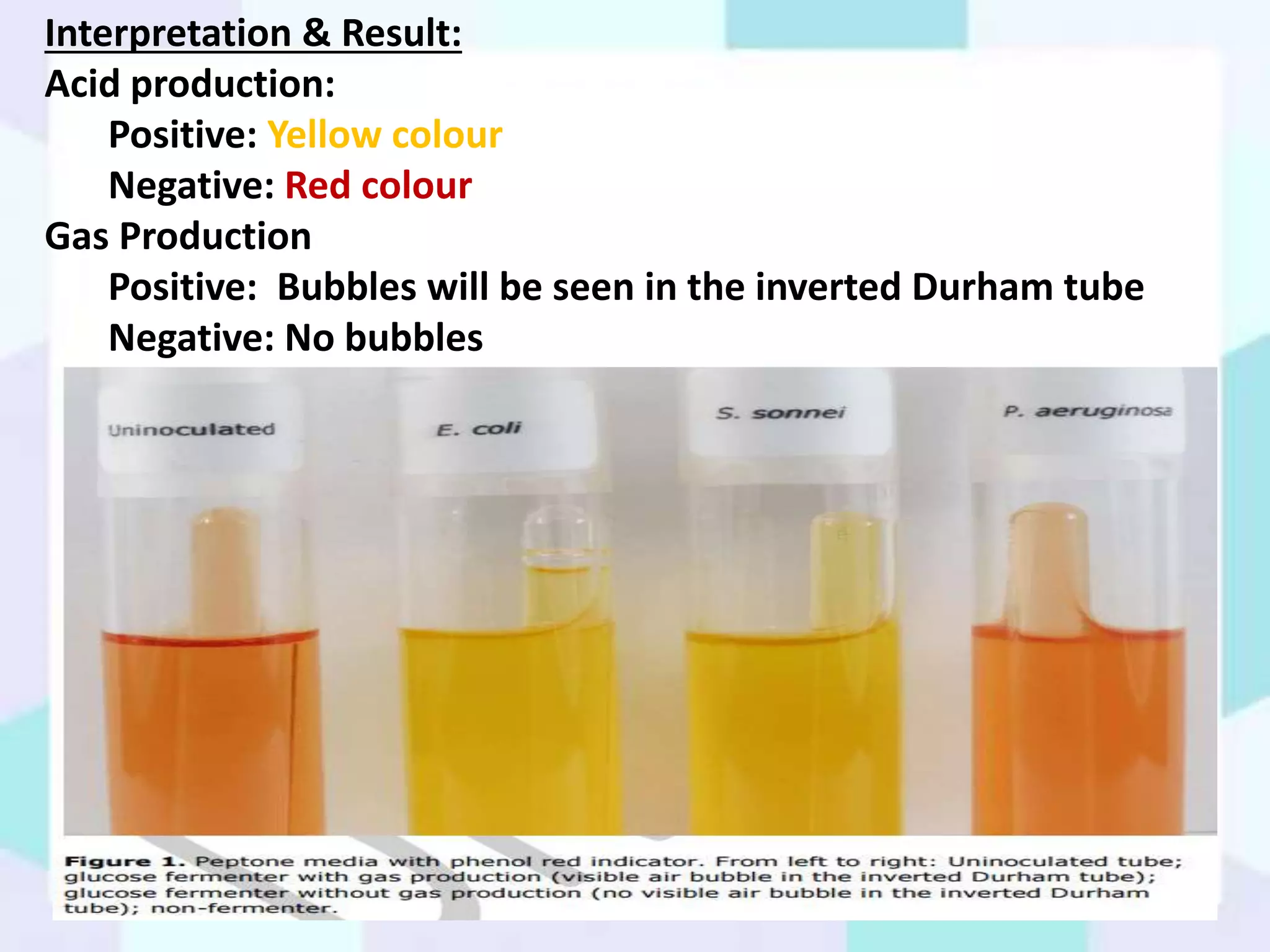 biochemicaltestsandserologicaltestsforbacterialdiseasediagnosisfinalosr ...