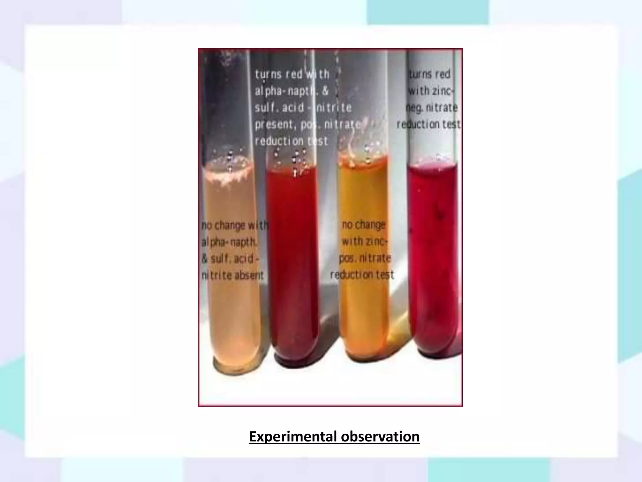 biochemicaltestsandserologicaltestsforbacterialdiseasediagnosisfinalosr ...
