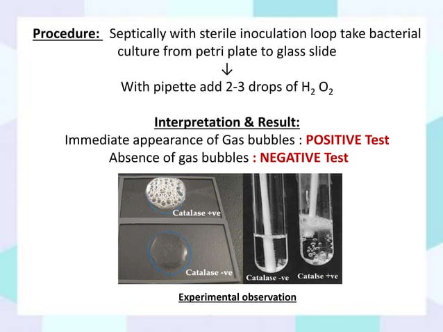 biochemicaltestsandserologicaltestsforbacterialdiseasediagnosisfinalosr ...