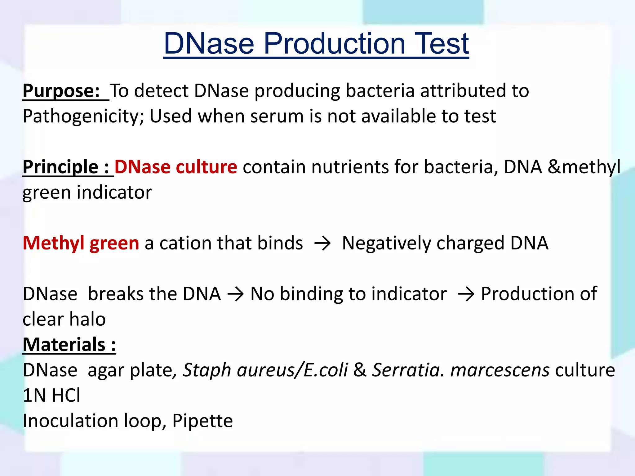 Biochemical tests and serological tests for bacterial disease diagnosis ...