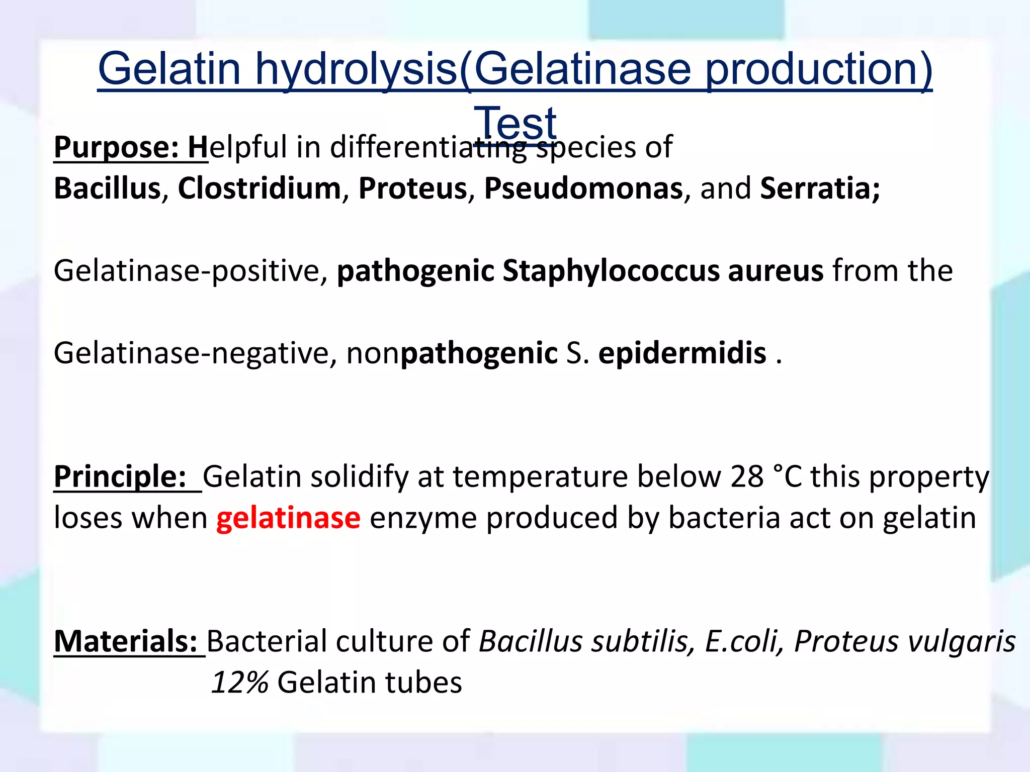 Biochemical tests and serological tests for bacterial disease diagnosis ...