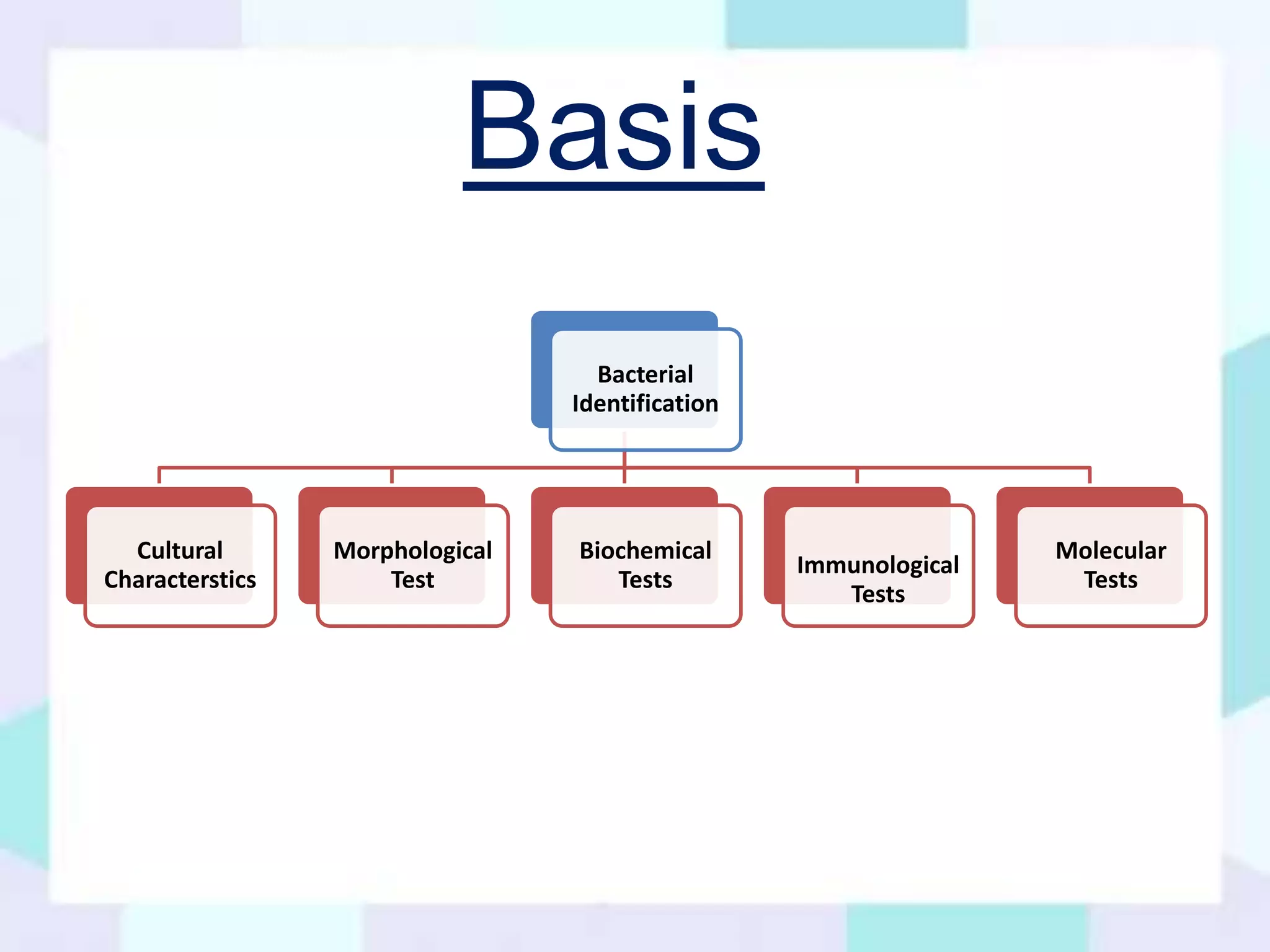 Biochemical tests and serological tests for bacterial disease diagnosis ...