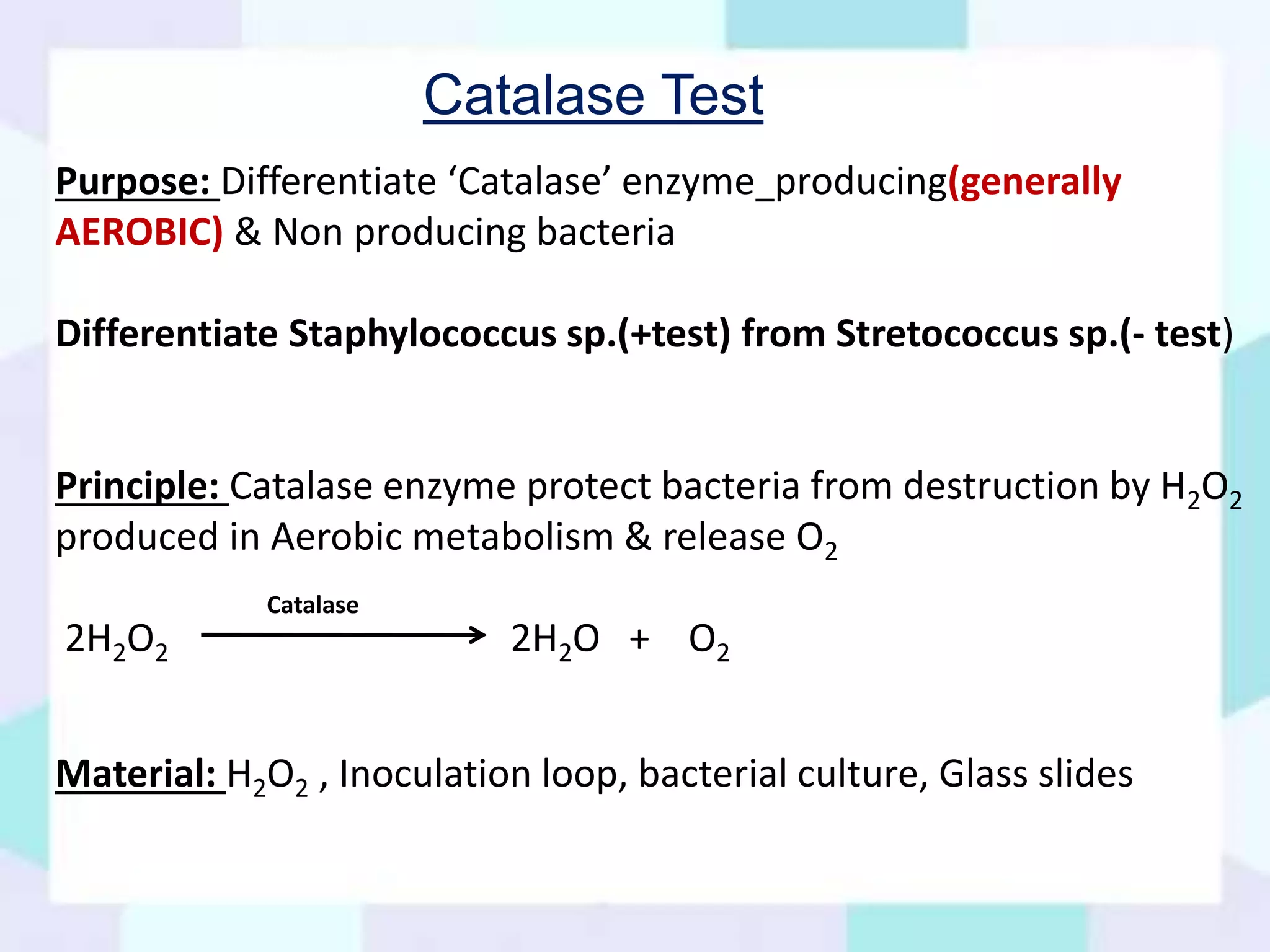 Biochemical tests and serological tests for bacterial disease diagnosis ...