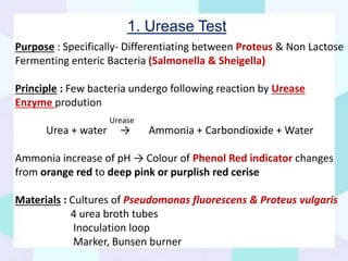 Pseudomonas Fluorescens Biochemical Tests