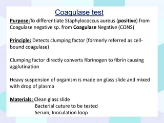 Biochemical tests and serological tests for bacterial disease diagnosis ...