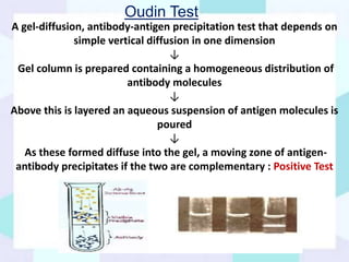 Biochemical tests and serological tests for bacterial disease diagnosis ...