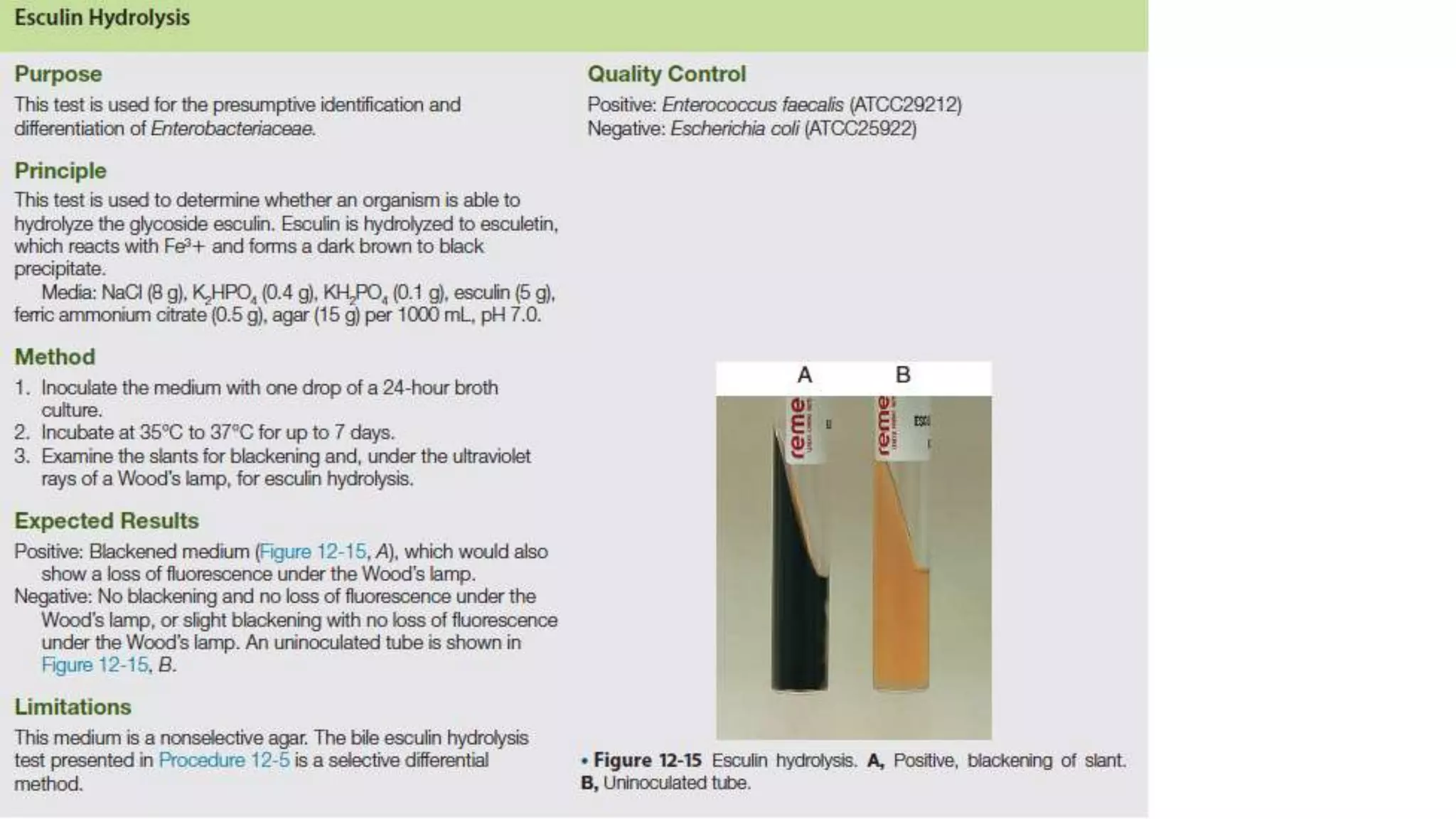 Biochemical tests for bacterial identification | PPTX