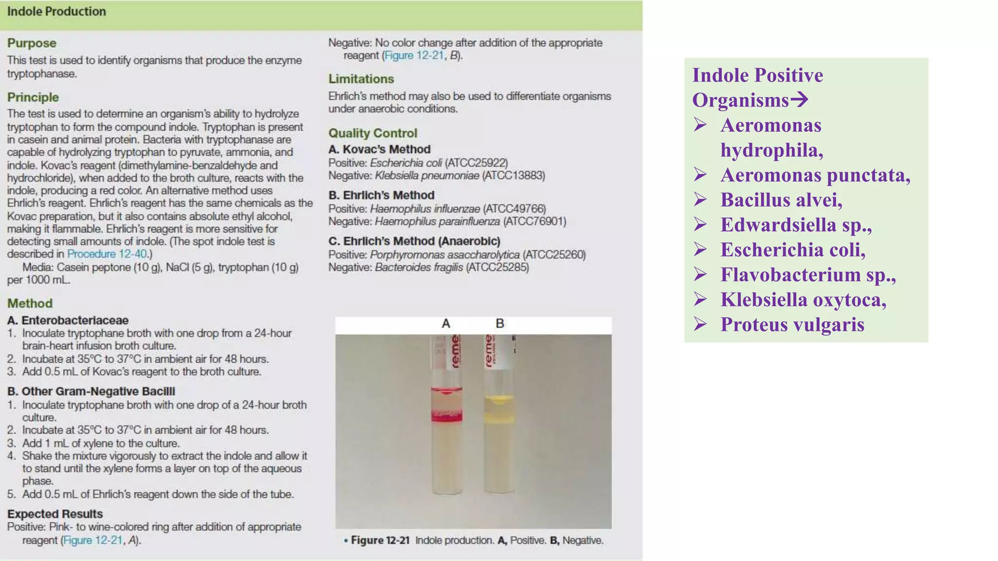 Biochemical tests for bacterial identification | PPTX