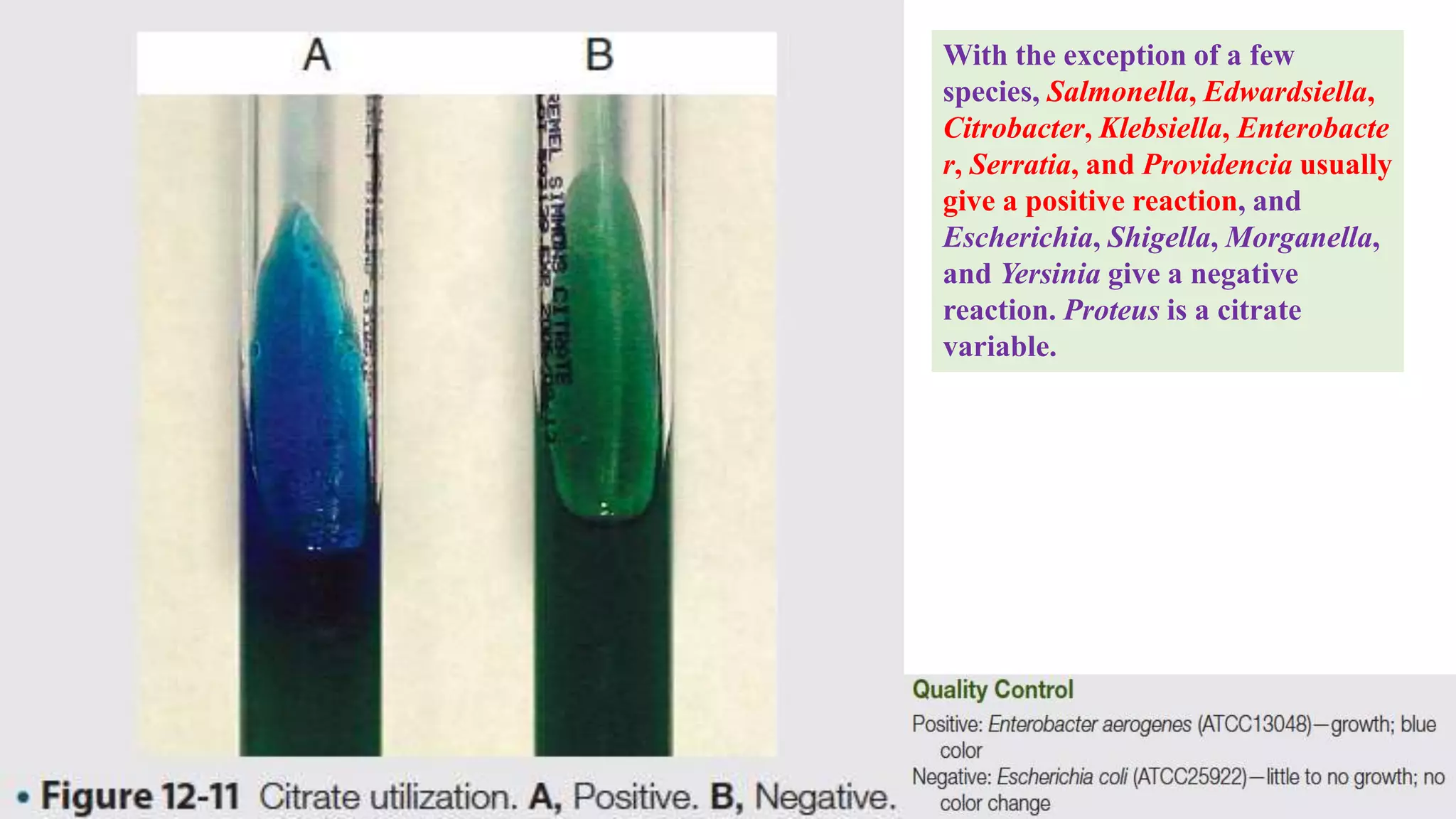 Biochemical tests for bacterial identification | PPTX